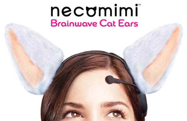 Necomimi Ears And Tail