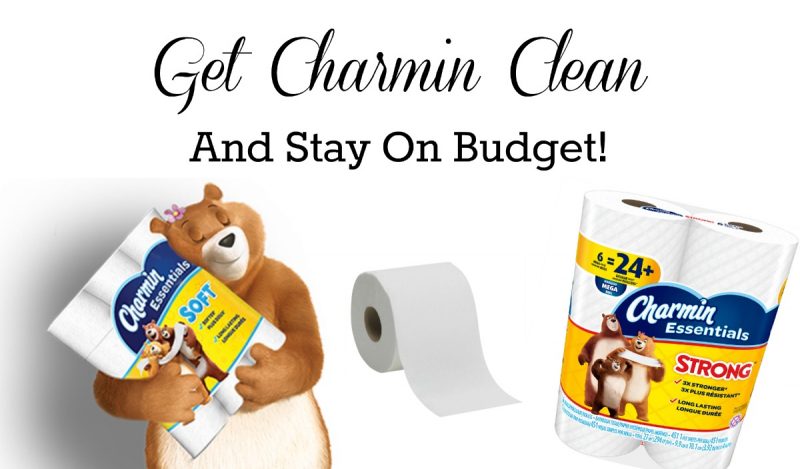 Get Charmin Clean And Stay On Budget! #CharminEssentials #IC #ad | The ...