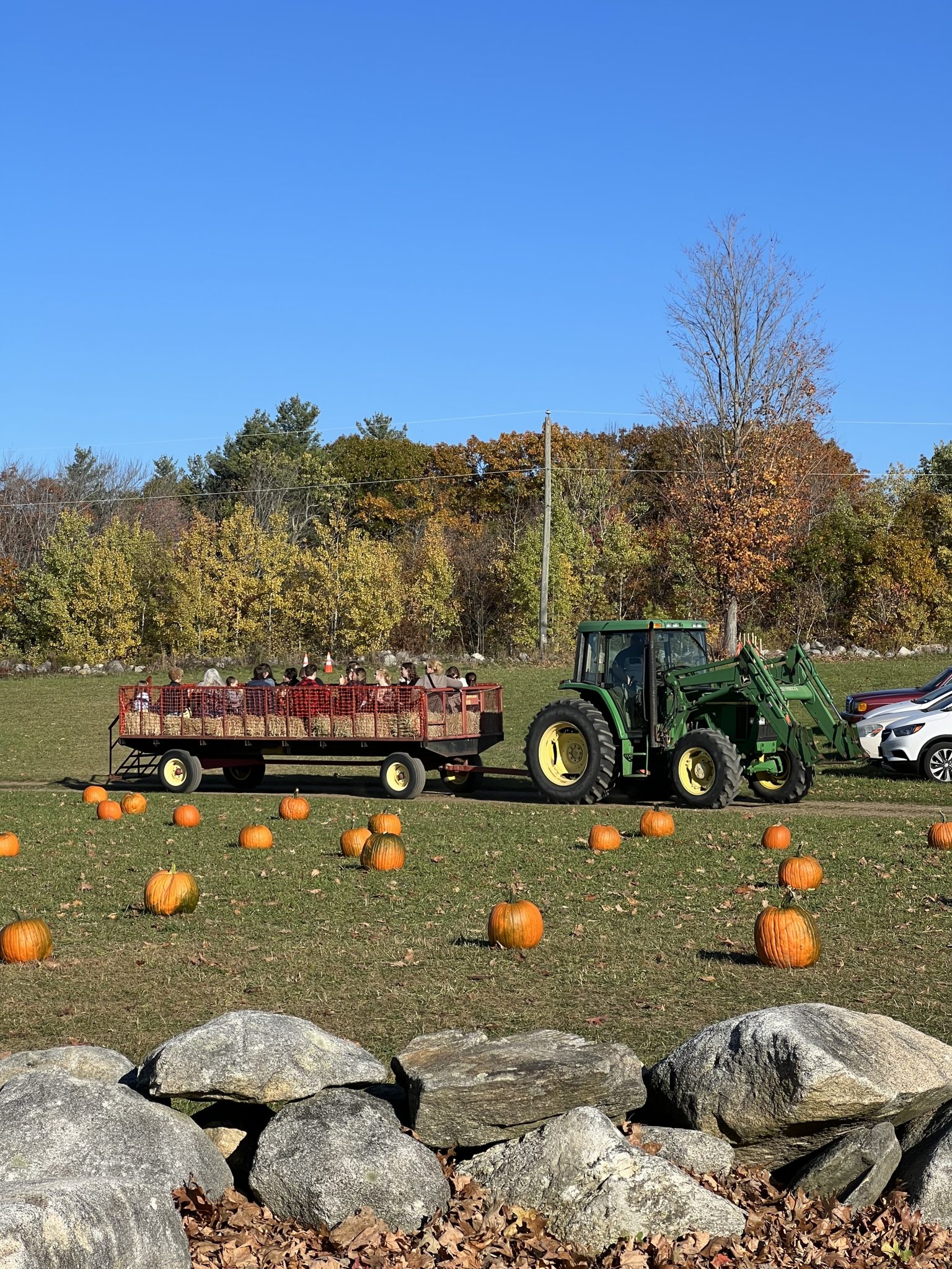 The Best Apple Cider Donuts in NH You Absolutely Need to Try This Fall ...